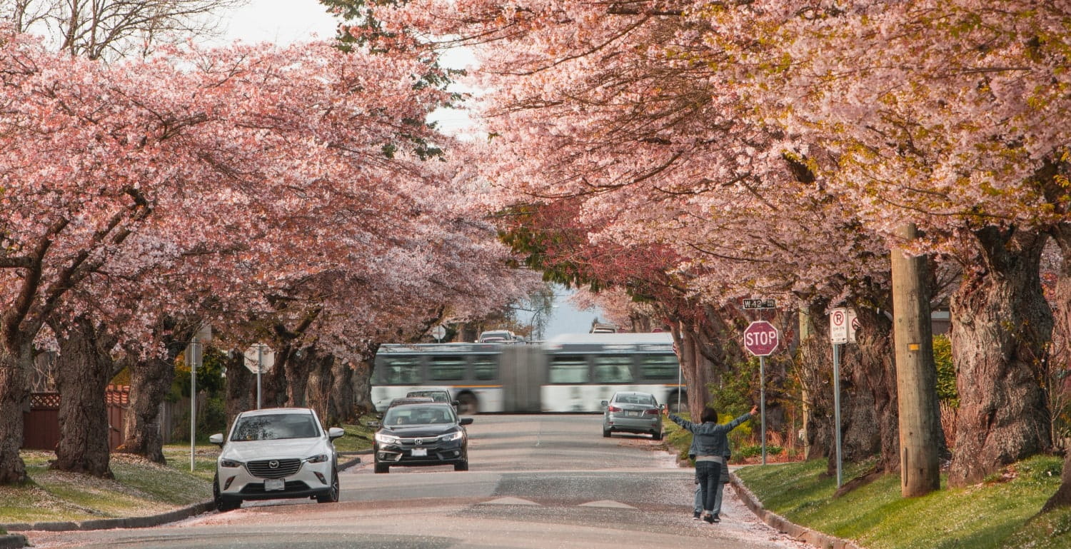 Service Changes | TransLink